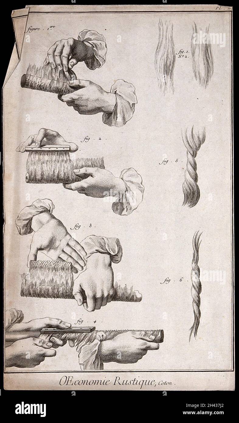 Textiles: cultivation and spinning of cotton. Engraving Stock Photo - Alamy