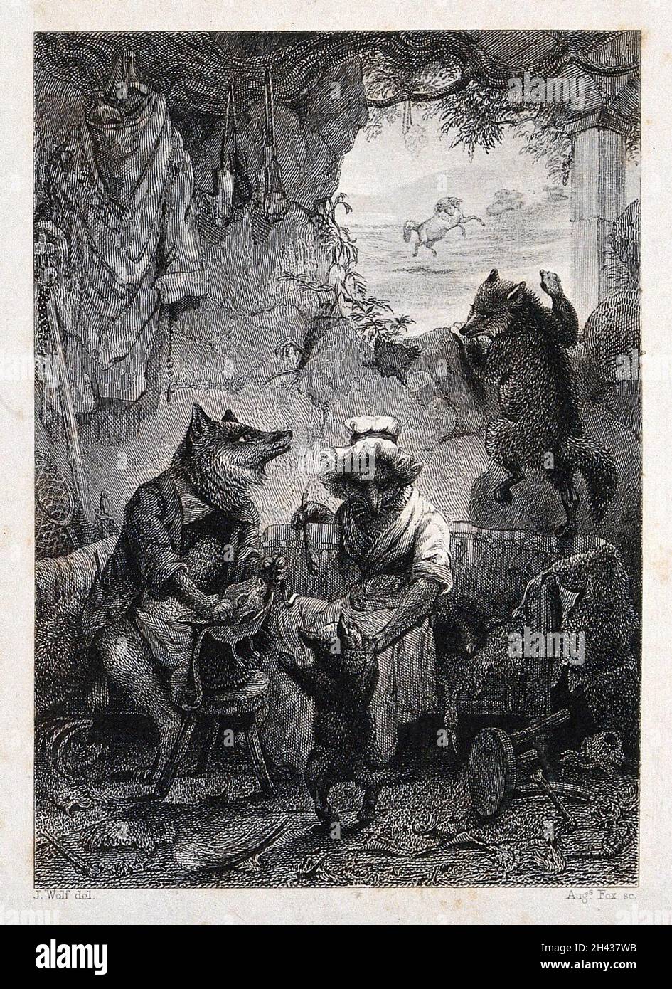 Young fox etching hi-res stock photography and images - Alamy