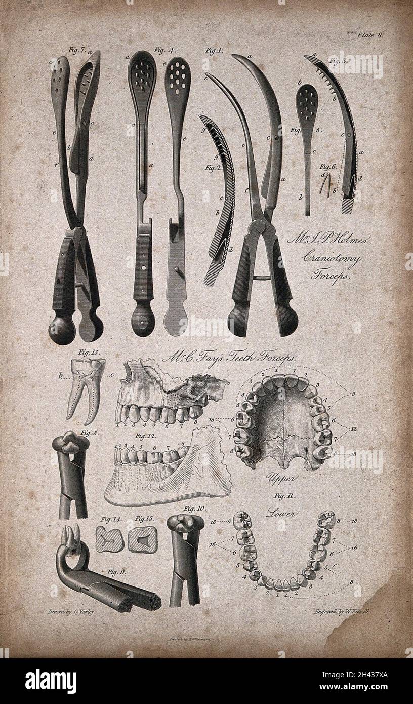 Midwifery and other instruments, including forceps and pliers ...
