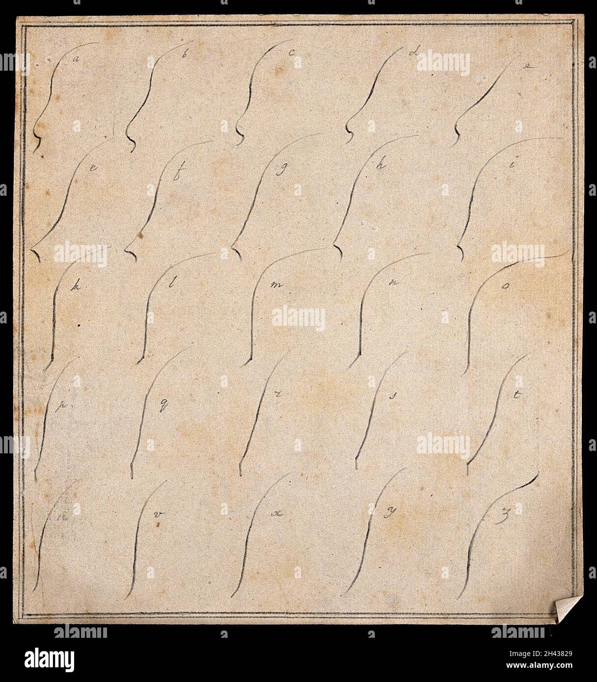 Twenty-five contours of irregular foreheads. Drawing, c. 1789 Stock ...