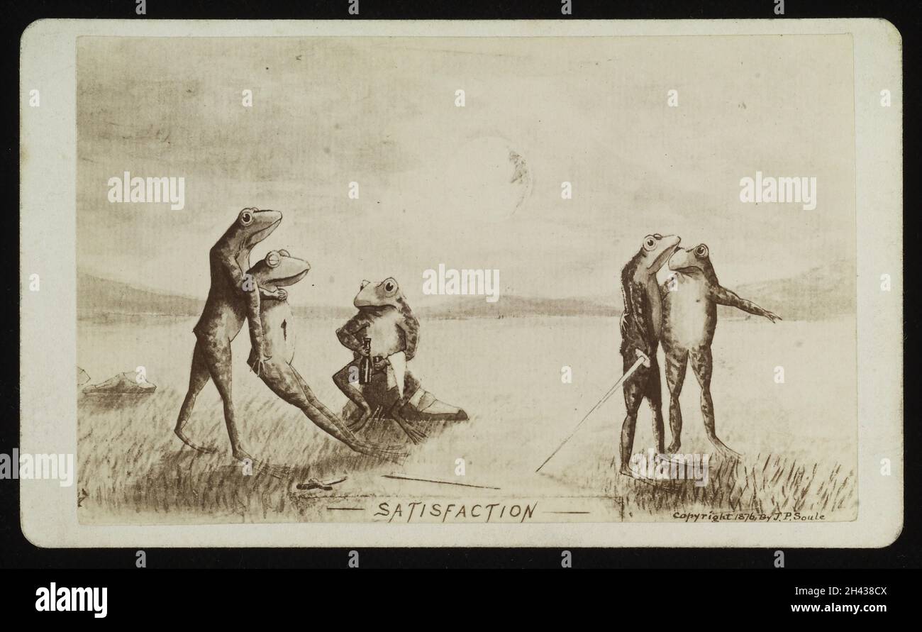 Frogs conducting a duel: one frog has killed another with his sword ...