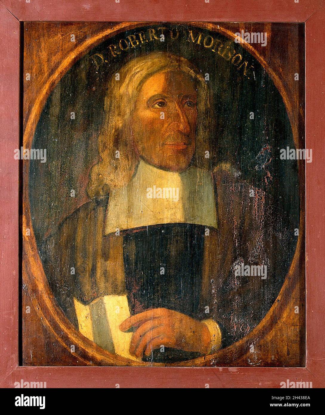 Robert Morison (1620-1683), botanist. Oil painting Stock Photo - Alamy