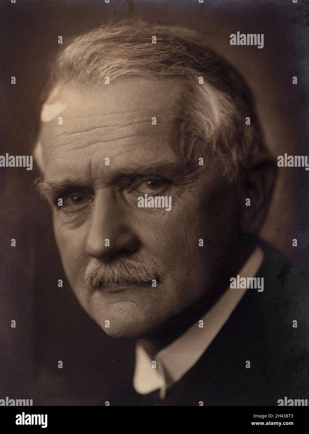 Schuffner hi-res stock photography and images - Alamy