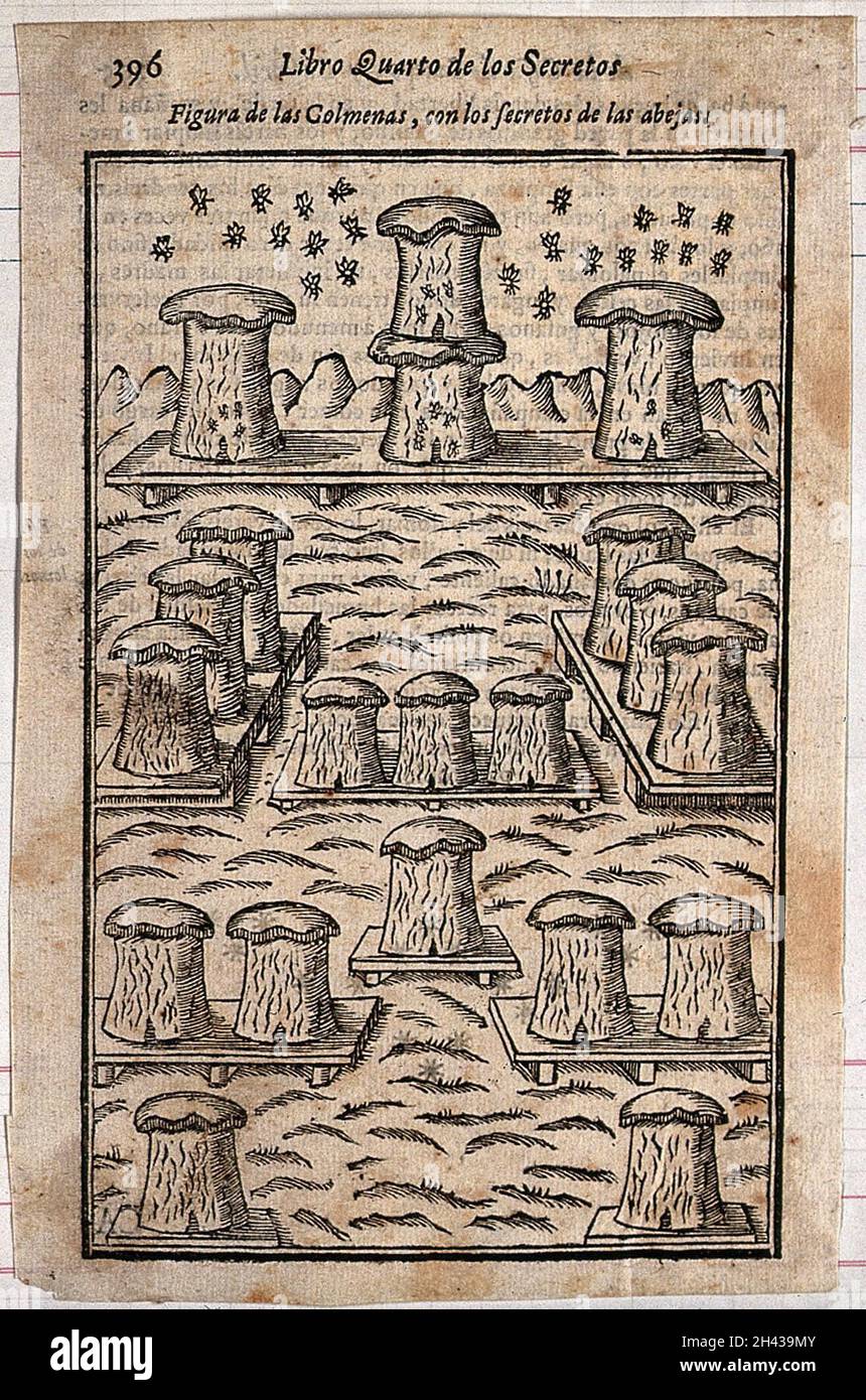 Eighteen beehives. Woodcut, ca. 1600 Stock Photo - Alamy