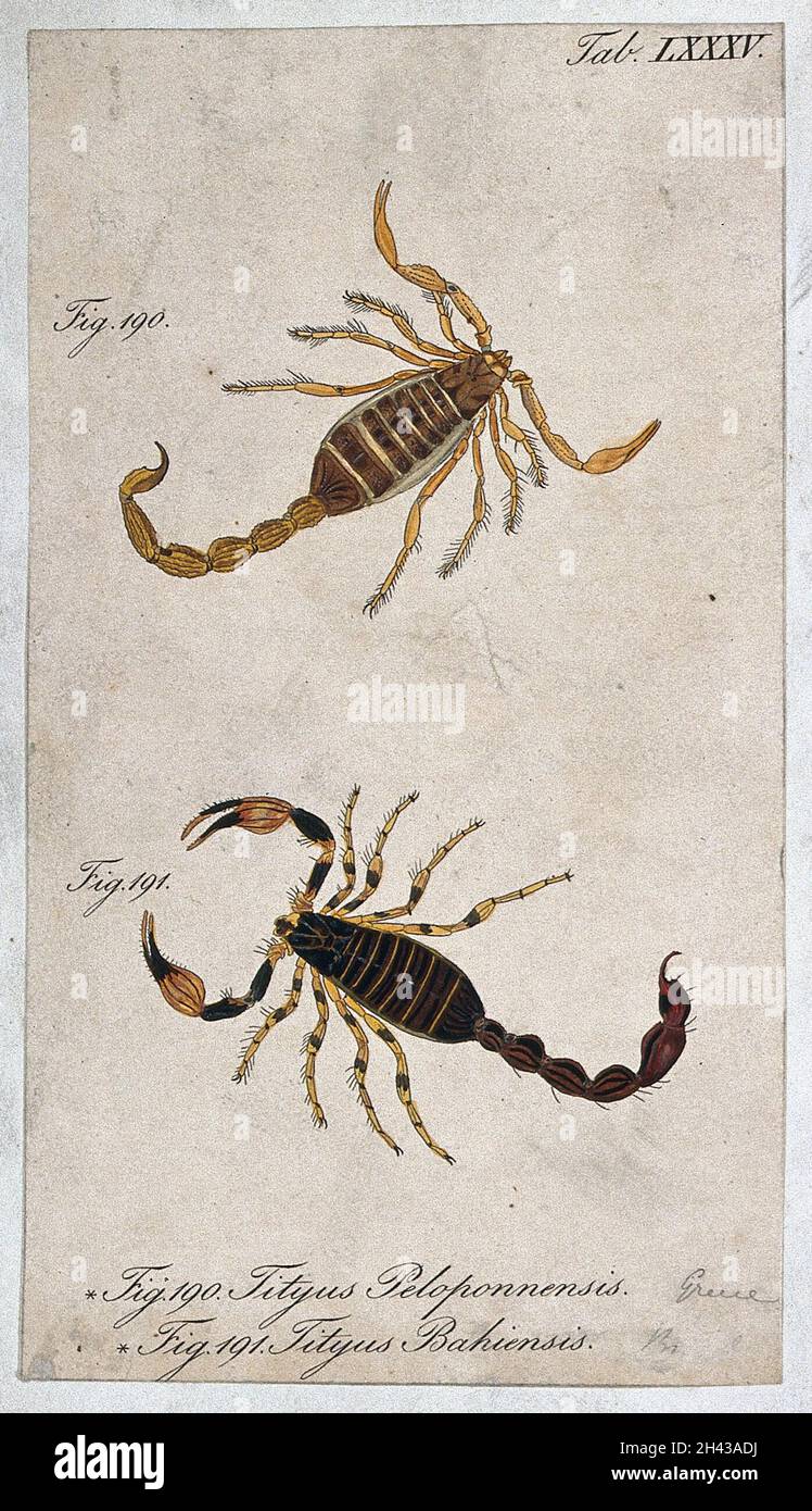 Differentiation coloured hi-res stock photography and images - Alamy