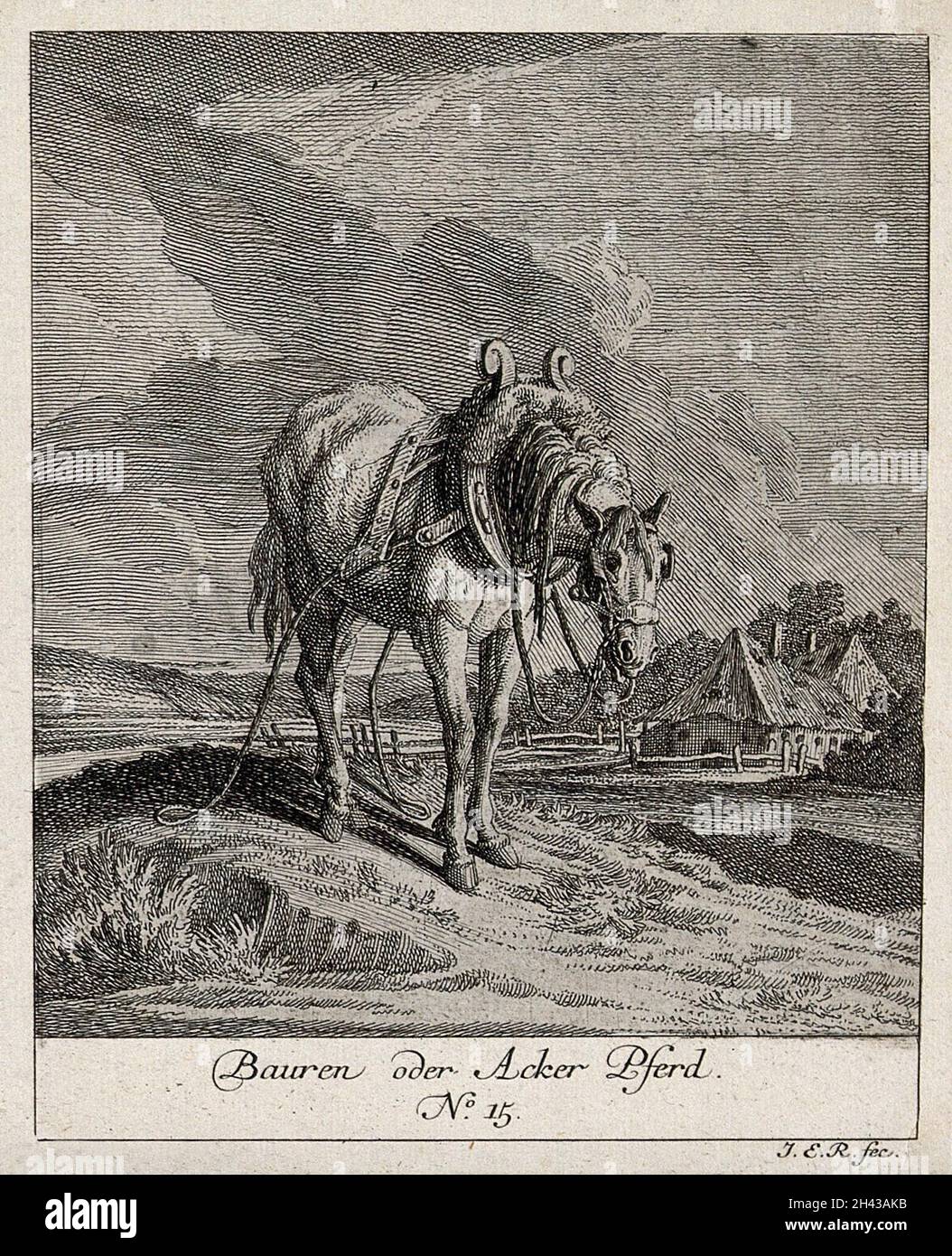 A plough horse standing in a field with a farm house in the background. Etching by J. E ...