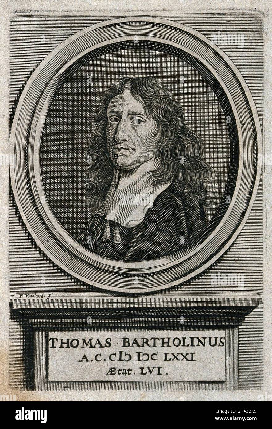Bartholin thomas hi-res stock photography and images - Alamy