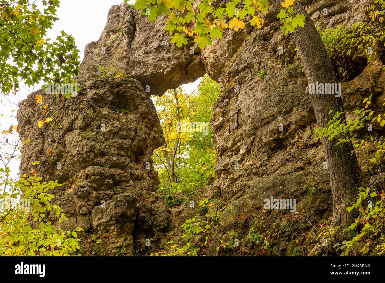 A rock arch in the woods during autumn Stock Photo - Alamy