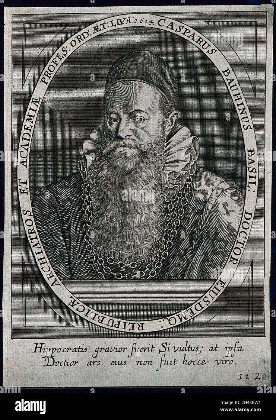 Caspar Bauhin. Line engraving by C. Ammon, 1650 [?] Stock Photo - Alamy