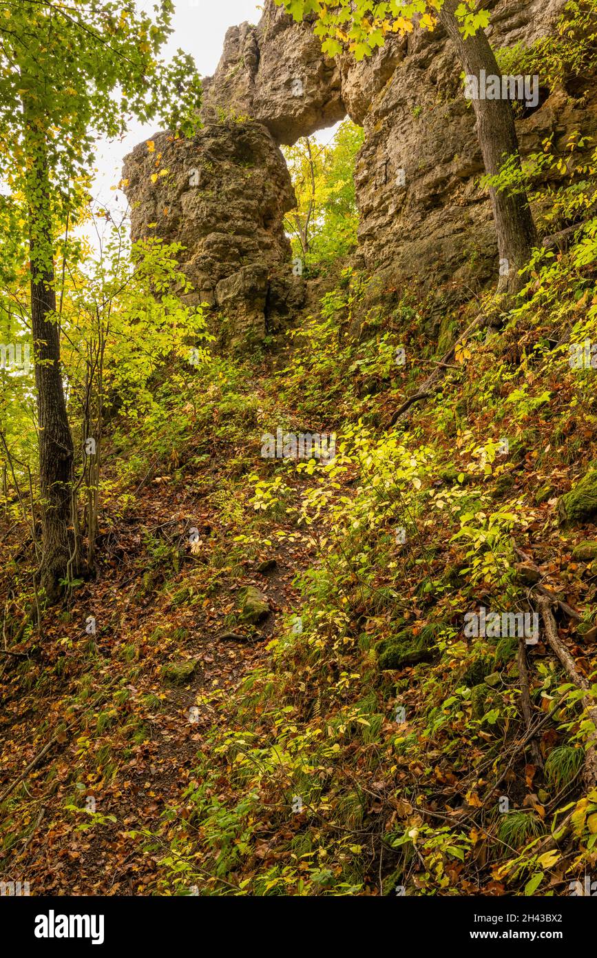 Autumn leaves stone rock trees hi-res stock photography and images - Alamy