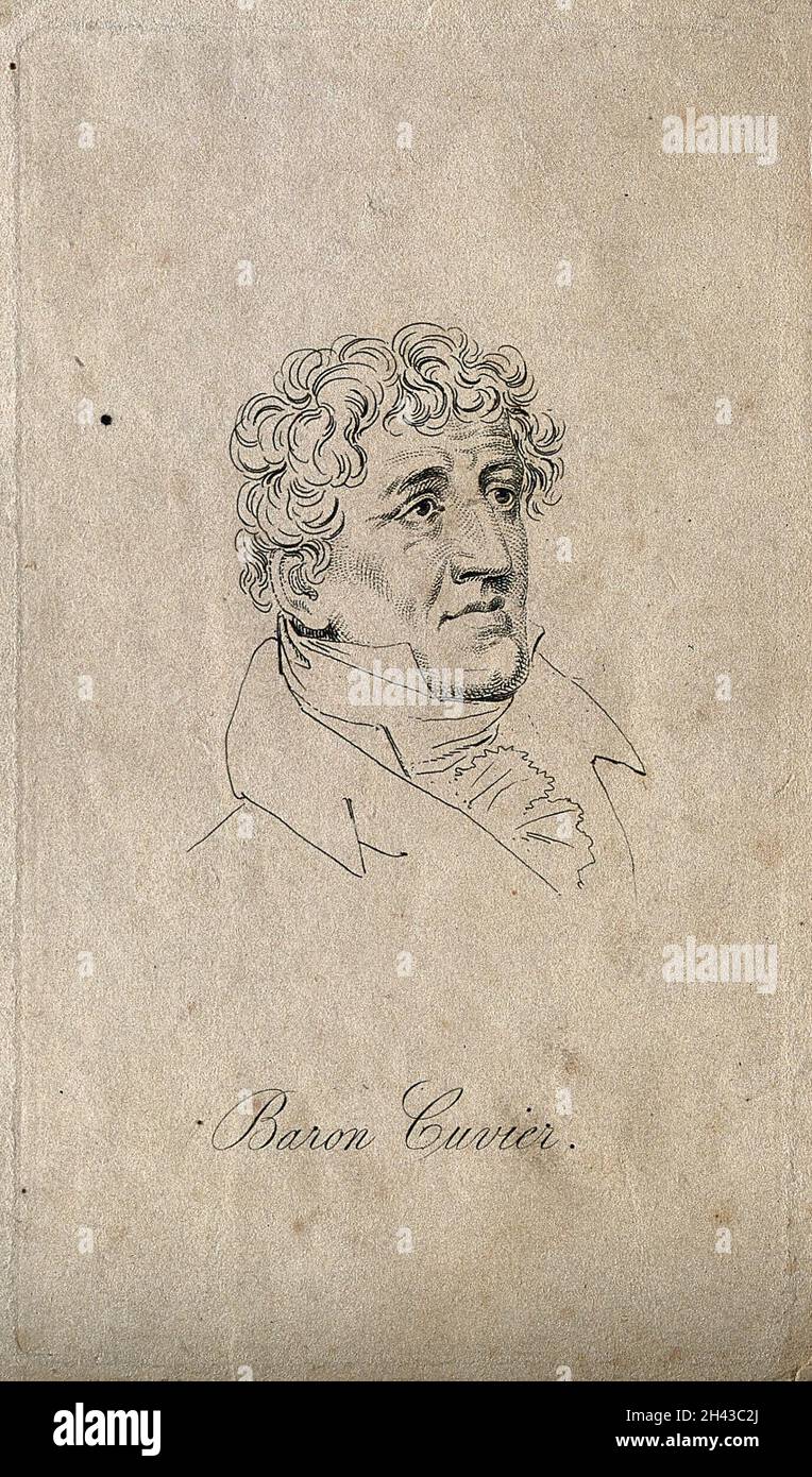 Georges-Léopold-Chrétien-Frédéric-Dagobert, Baron Cuvier Stock Photo ...