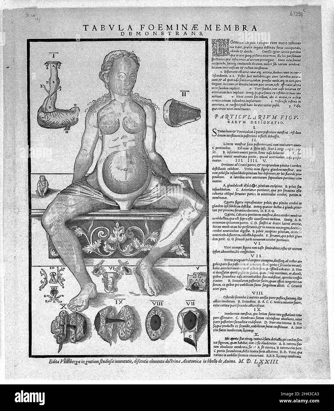 Science study female health Black and White Stock Photos & Images - Alamy