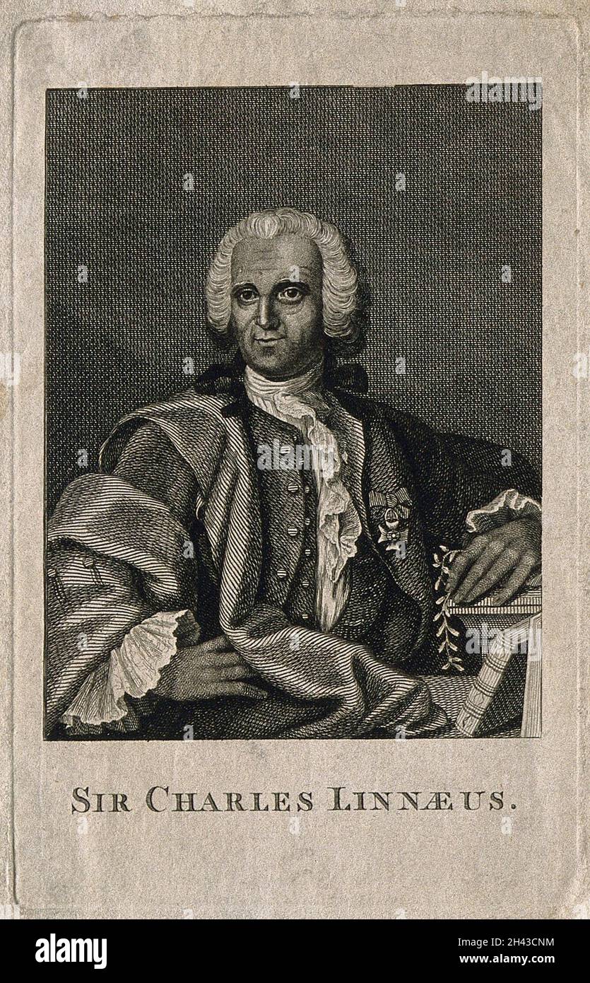 Carolus Linnaeus. Line engraving after G. Lundberg, 1751 Stock Photo ...
