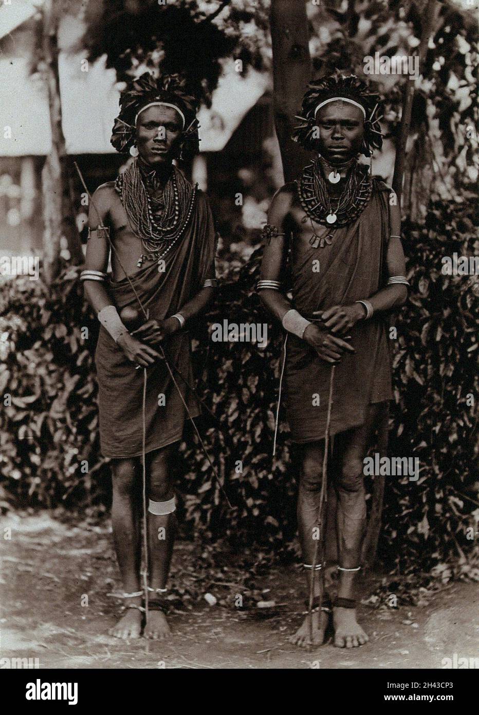 Carrying sticks hi-res stock photography and images - Alamy