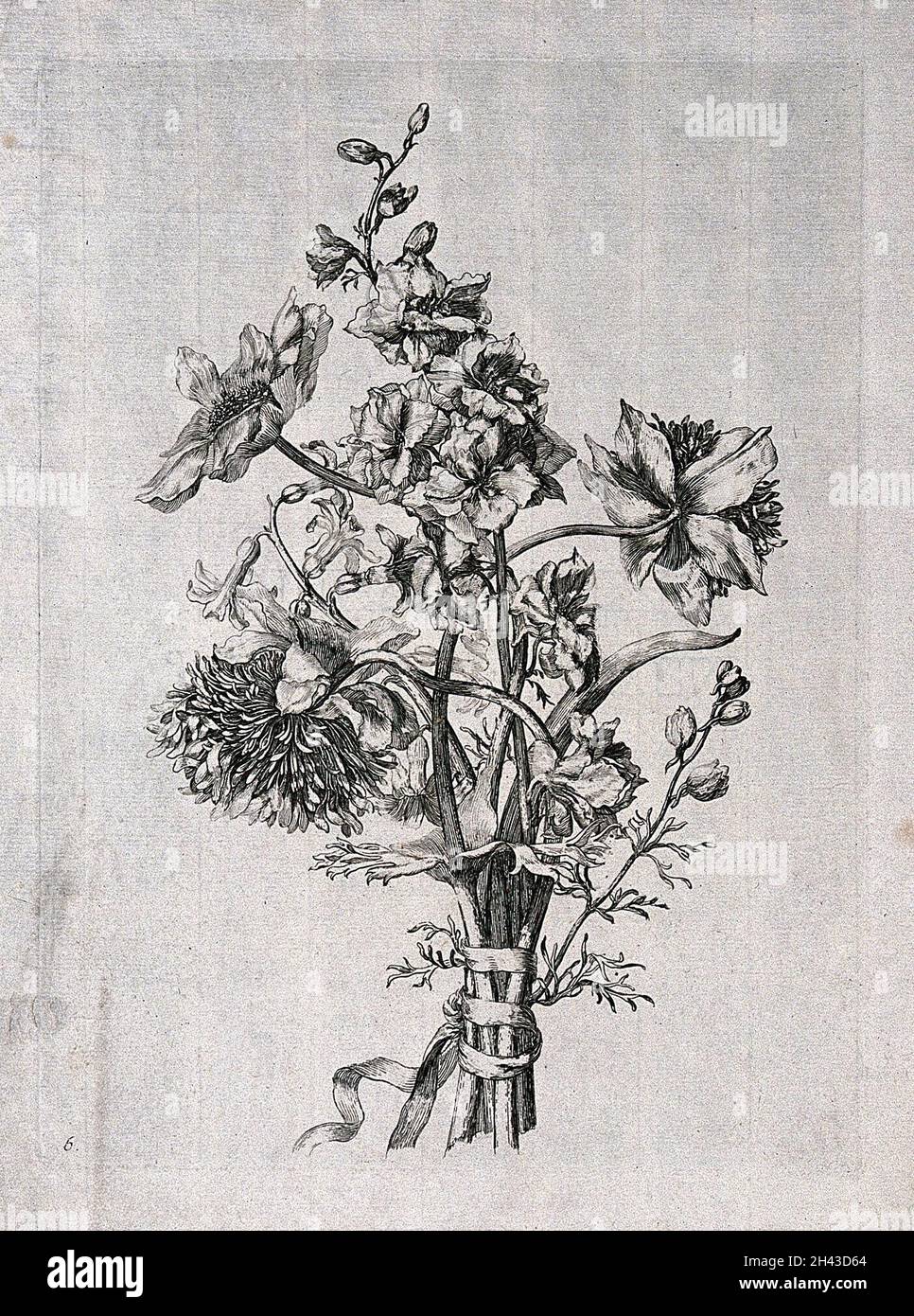 Bouquet engraving hi-res stock photography and images - Alamy
