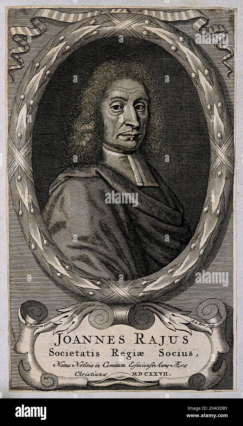 Engraving of john ray hi-res stock photography and images - Alamy