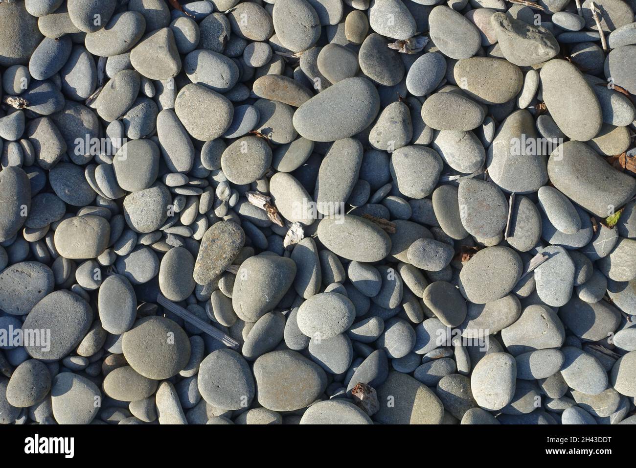 The rugged Washington coast provides miles of quiet beaches and sandy ...