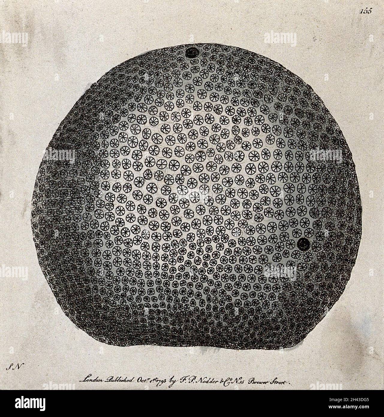 Spherical illustration hi-res stock photography and images - Alamy