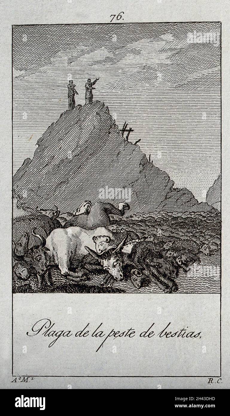 Murrain of beasts hi-res stock photography and images - Alamy