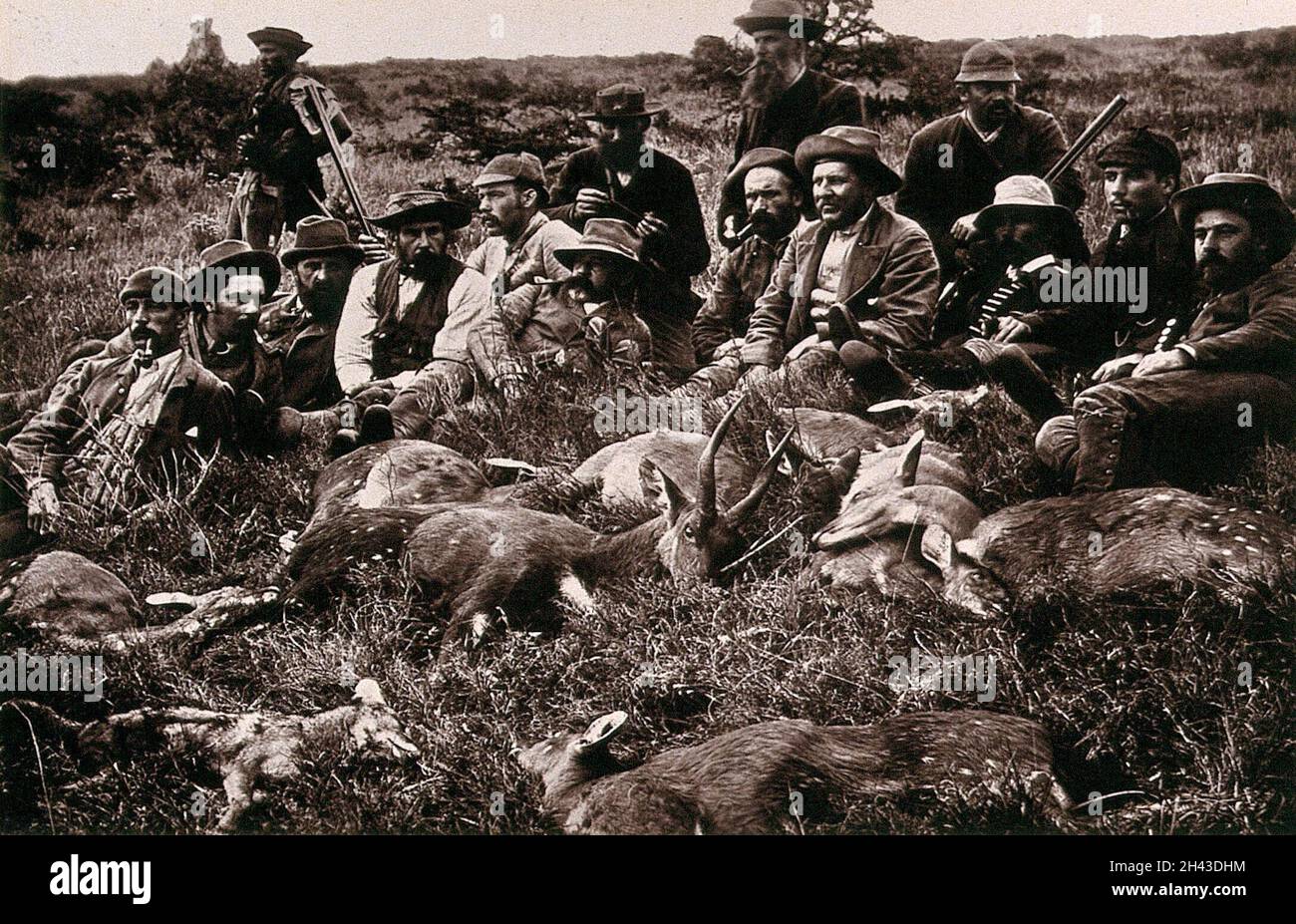 Wycombe Vale, South Africa: a group of bushbuck hunters with their kill ...