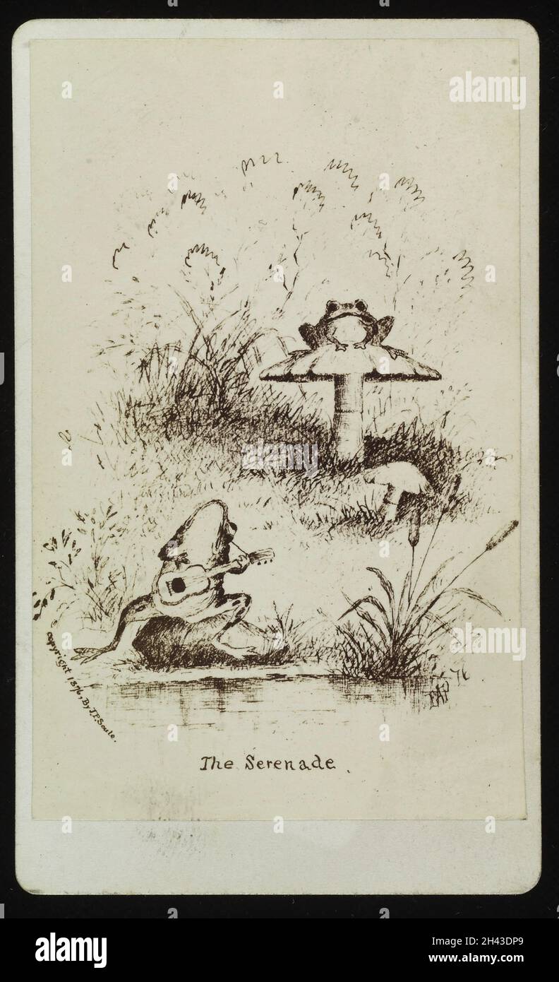 Mushroom and frog drawing hi-res stock photography and images - Alamy