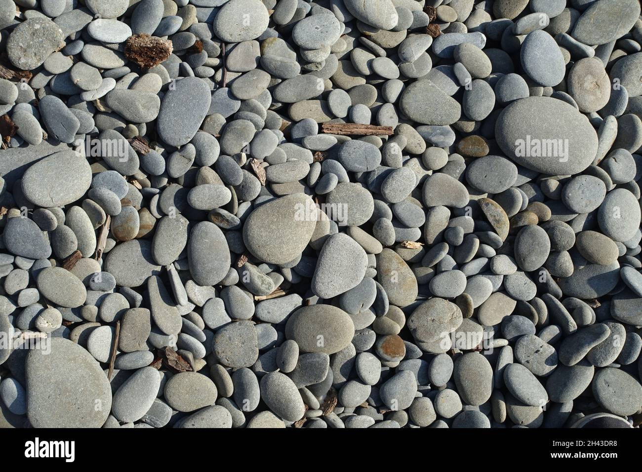 The rugged Washington coast provides miles of quiet beaches and sandy ...