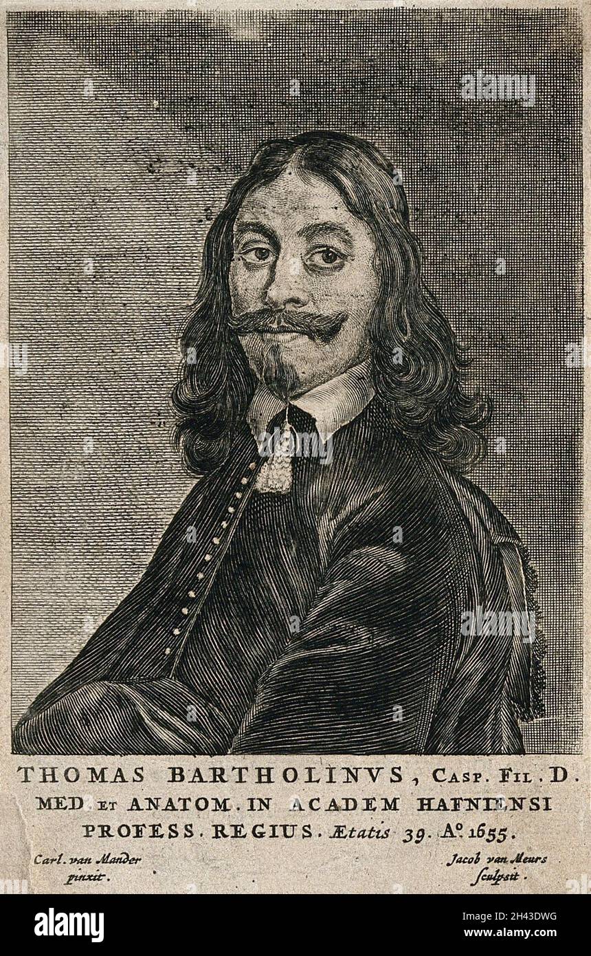 Bartholin thomas hi-res stock photography and images - Alamy