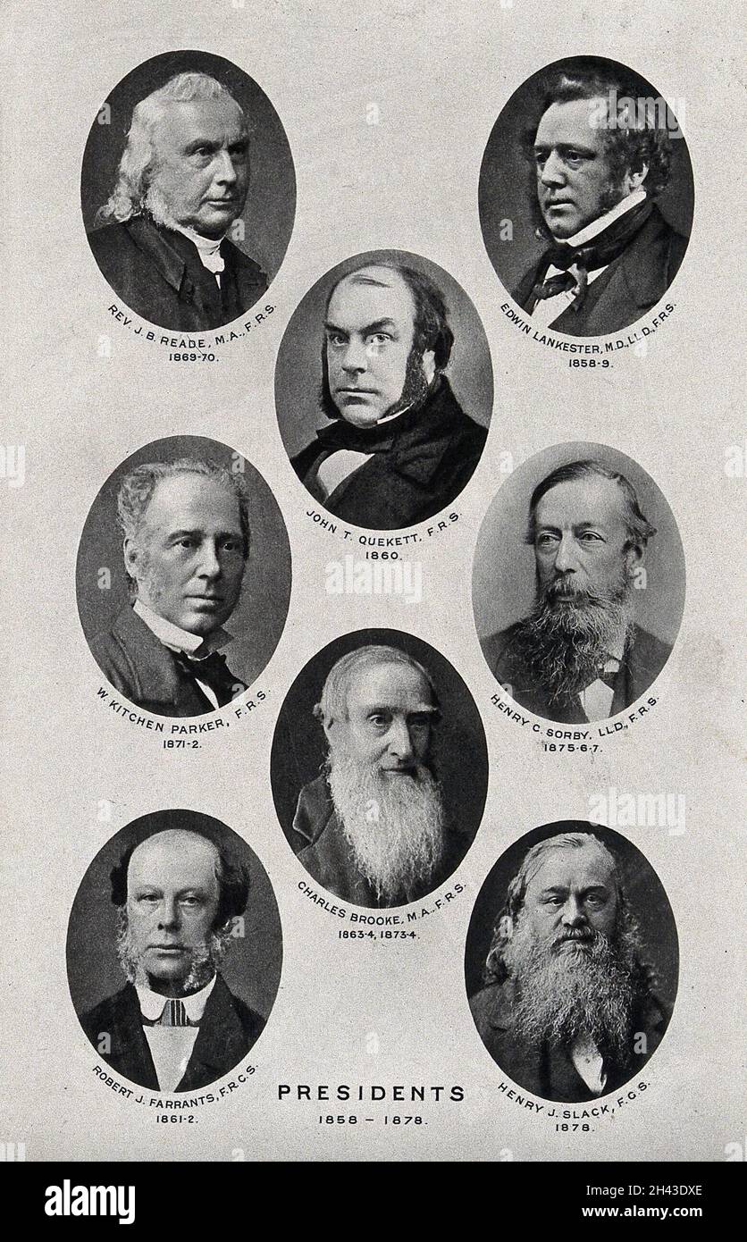 Royal Microscopical Society Presidents, 1858-1878: eight portraits ...
