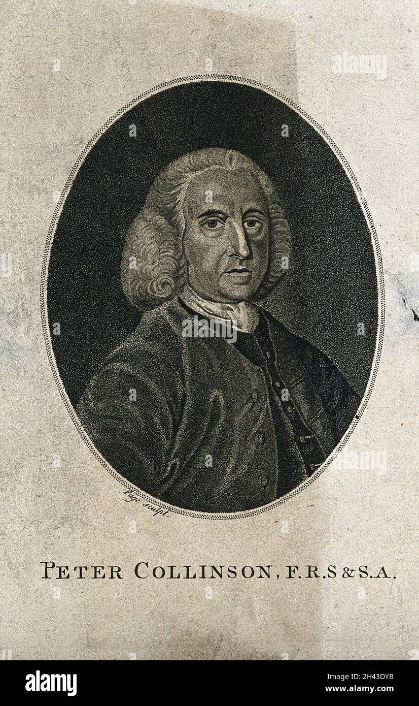 Peter collinson hi-res stock photography and images - Alamy