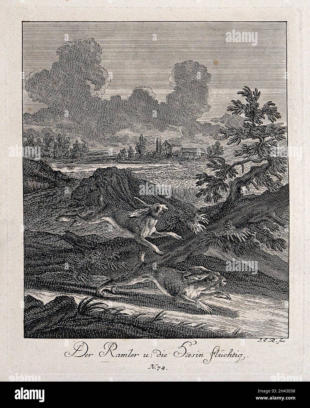 A buck and a female hare running along a path with a village in the ...