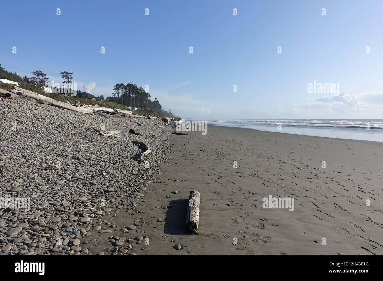 The rugged Washington coast provides miles of quiet beaches and sandy ...