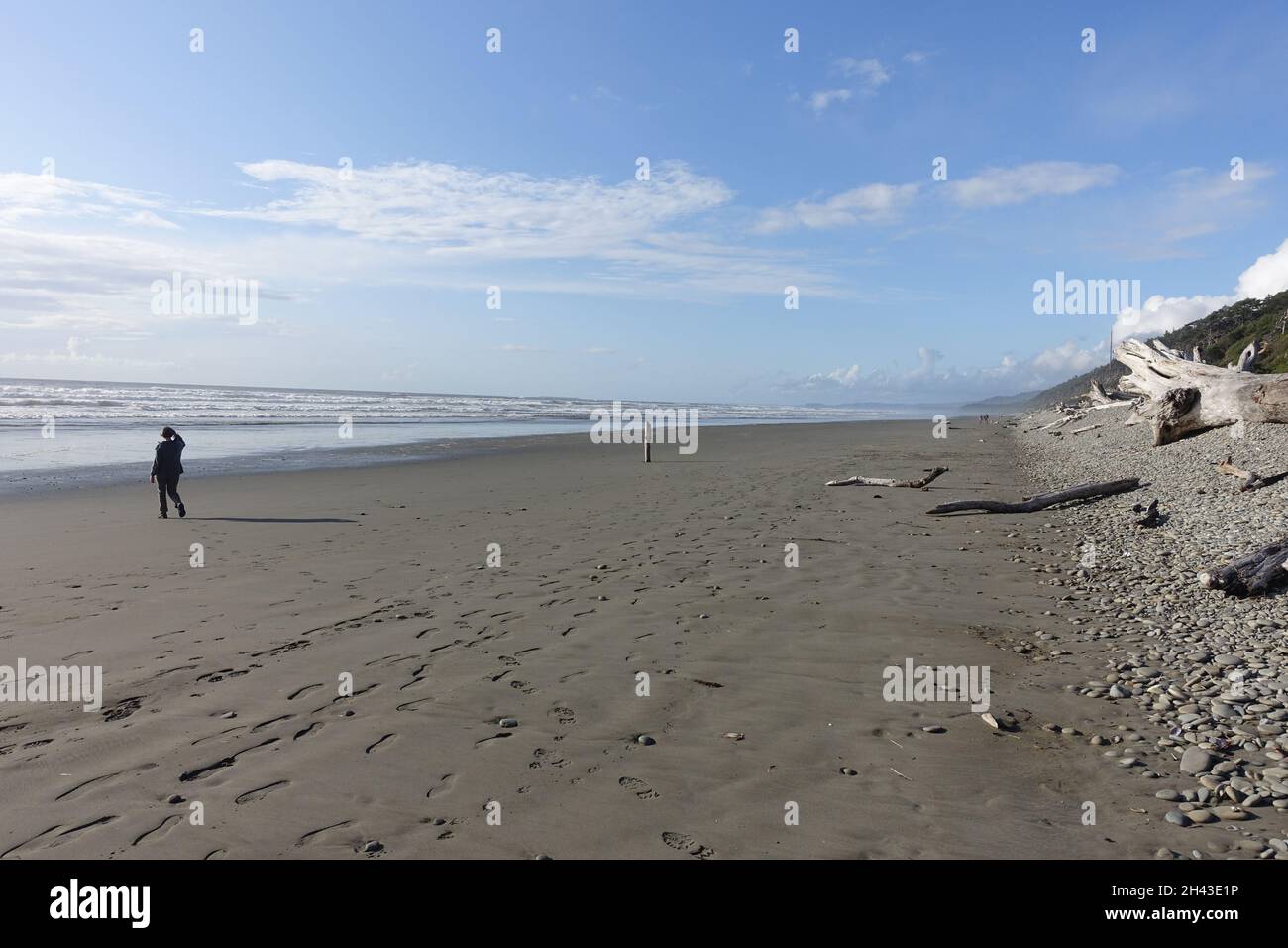 The rugged Washington coast provides miles of quiet beaches and sandy ...