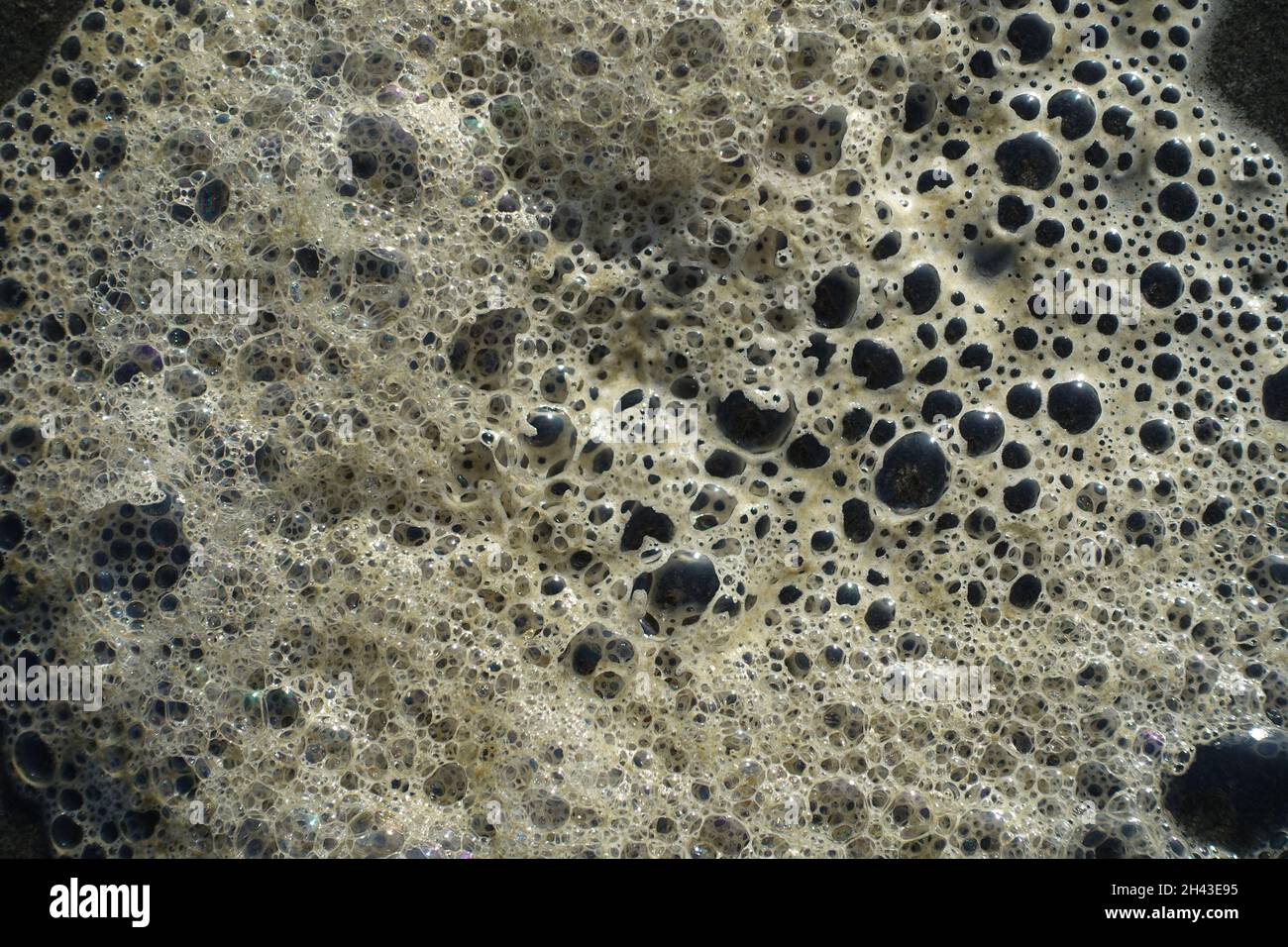 The rugged Washington coast provides miles of quiet beaches and sandy ...