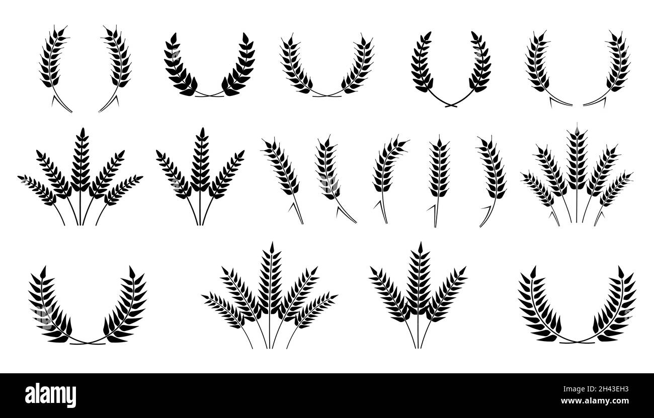 Wheat wreaths logos. Wheat ear icons. Vector agriculture ears symbols ...