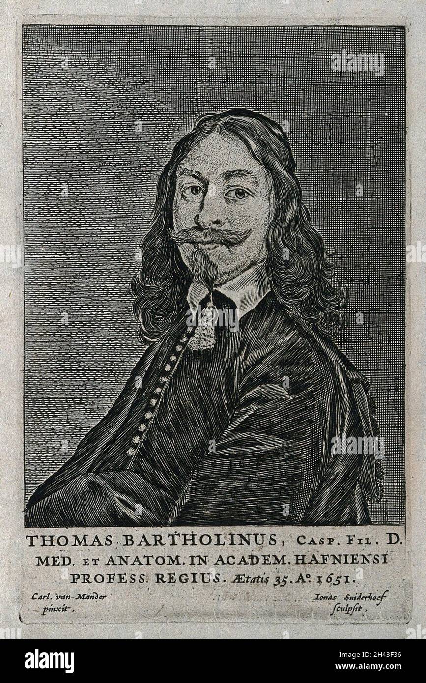 Thomas Bartholin. Line engraving by J. Suiderhoef, 1651, after C. van ...