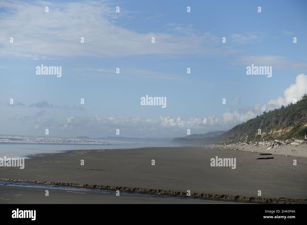 The rugged Washington coast provides miles of quiet beaches and sandy ...