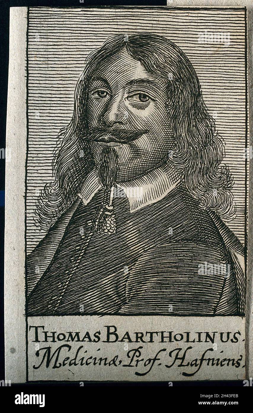 Thomas Bartholin. Line engraving after C. van Mander Stock Photo - Alamy