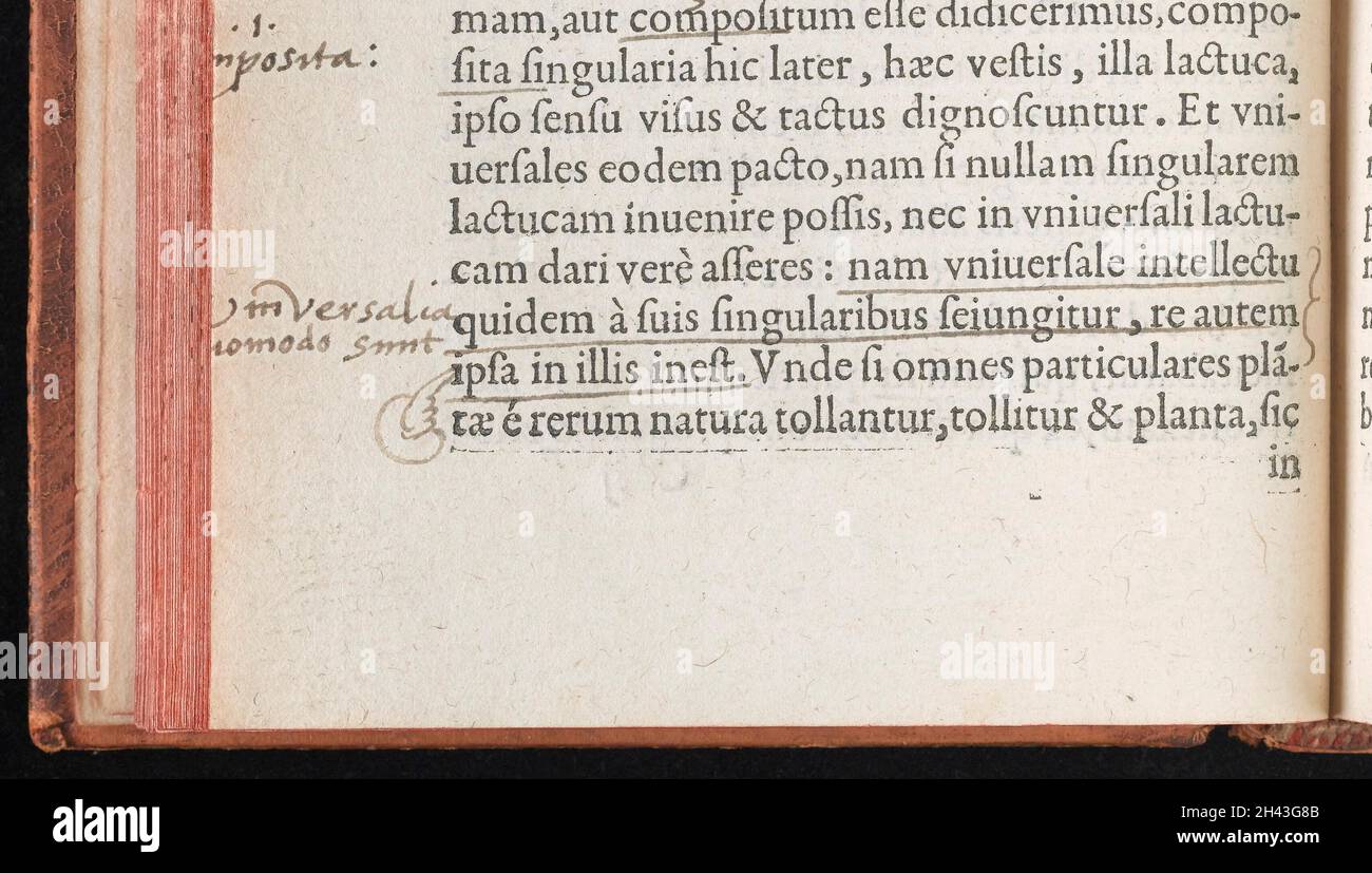 Quinque hi-res stock photography and images - Alamy