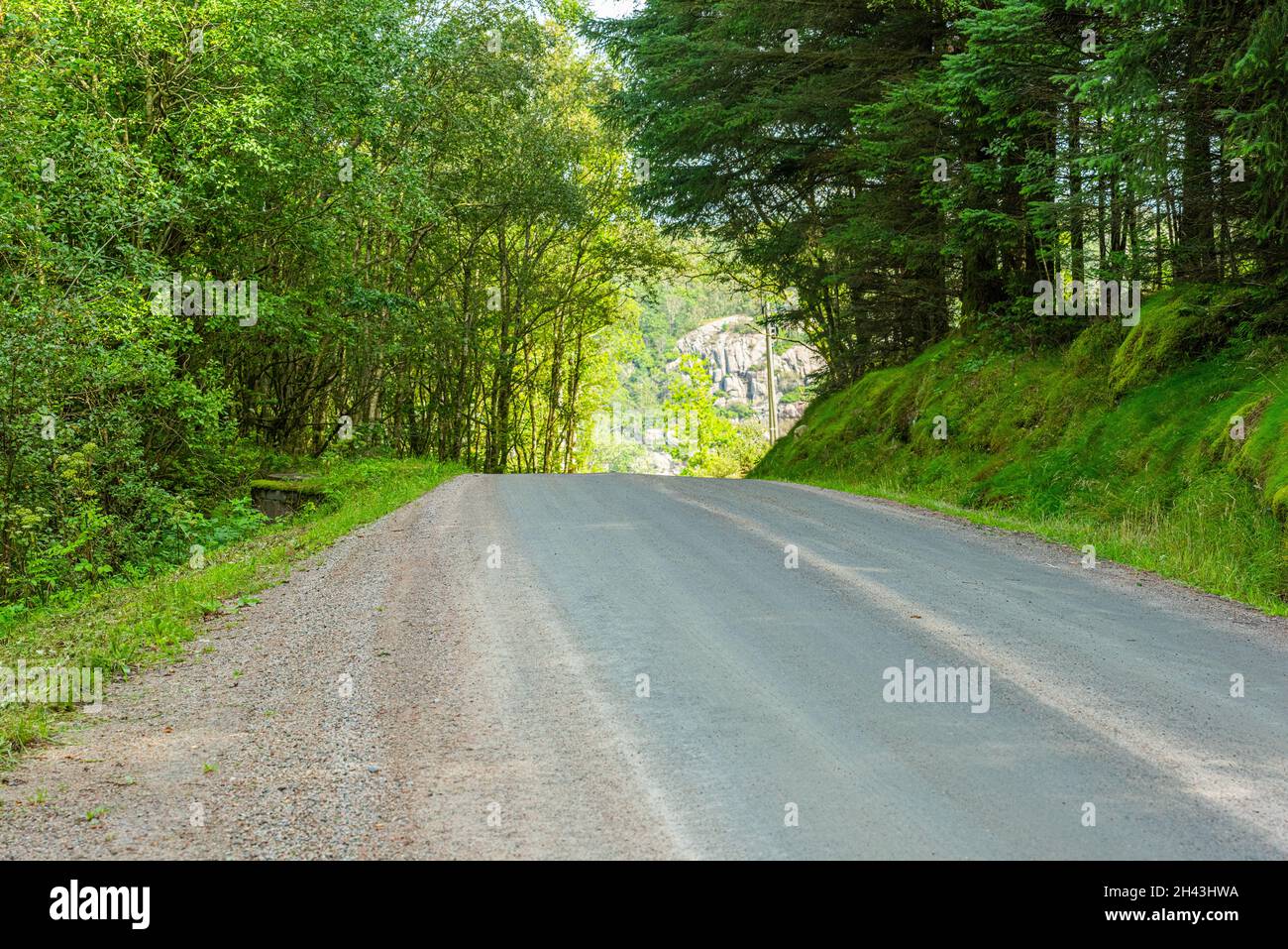 Crest of a gravel road through a forest Stock Photo - Alamy
