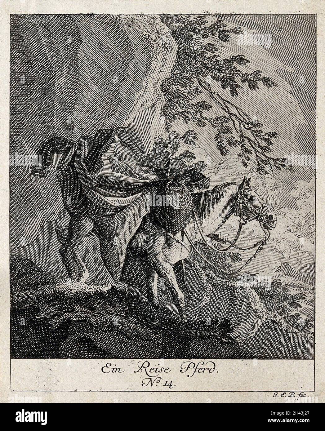 A horse packed with luggage, guided down a steep mountain by a horseman ...