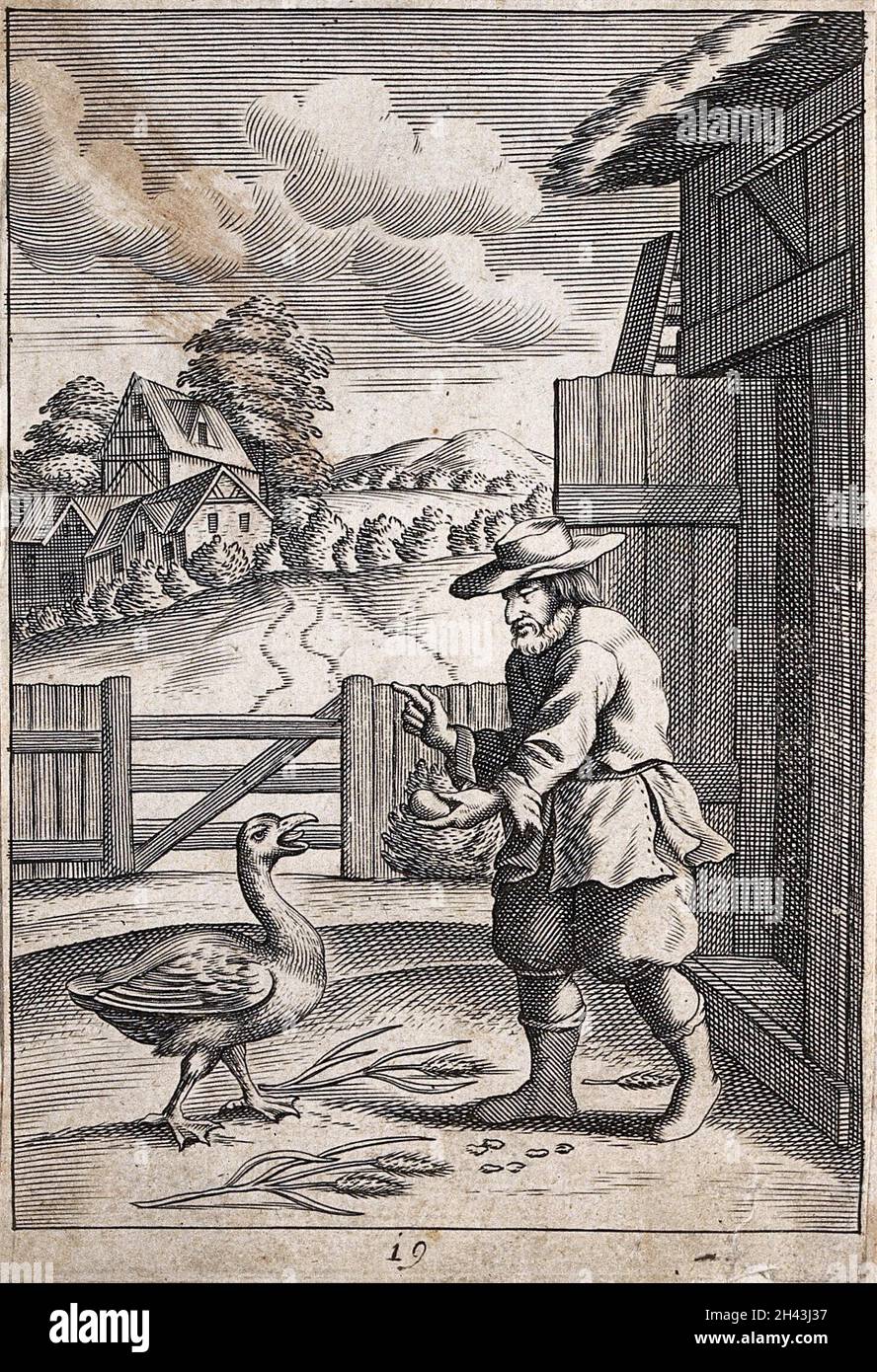 A peasant coming out of a barn is showing an egg to a goose ...