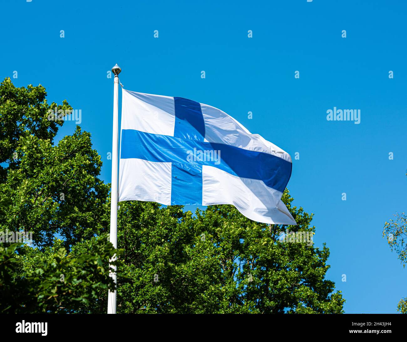 Flag of Finland on a flag pole with gree trees in the background Stock ...