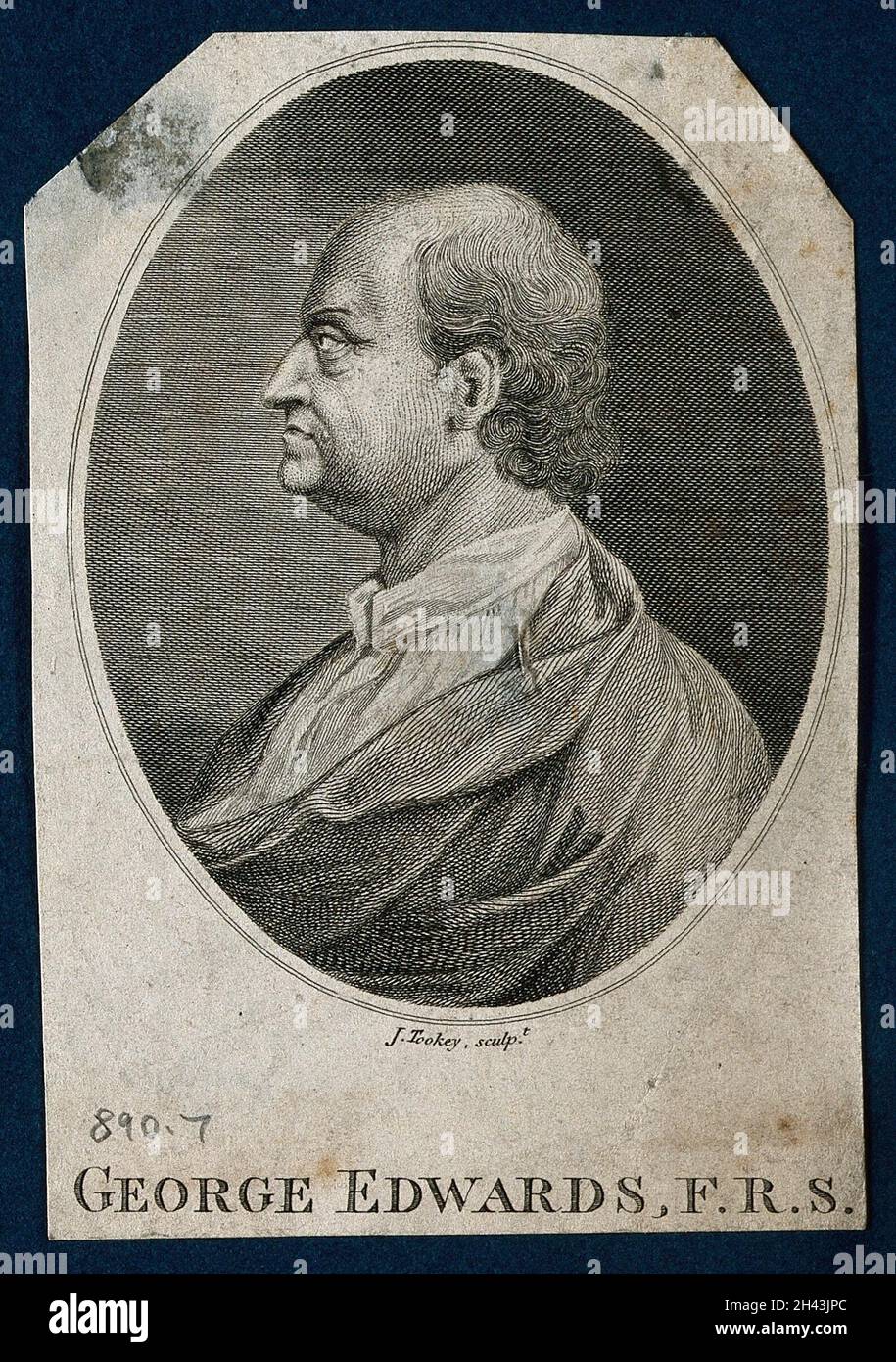 George edwards portrait hi-res stock photography and images - Alamy