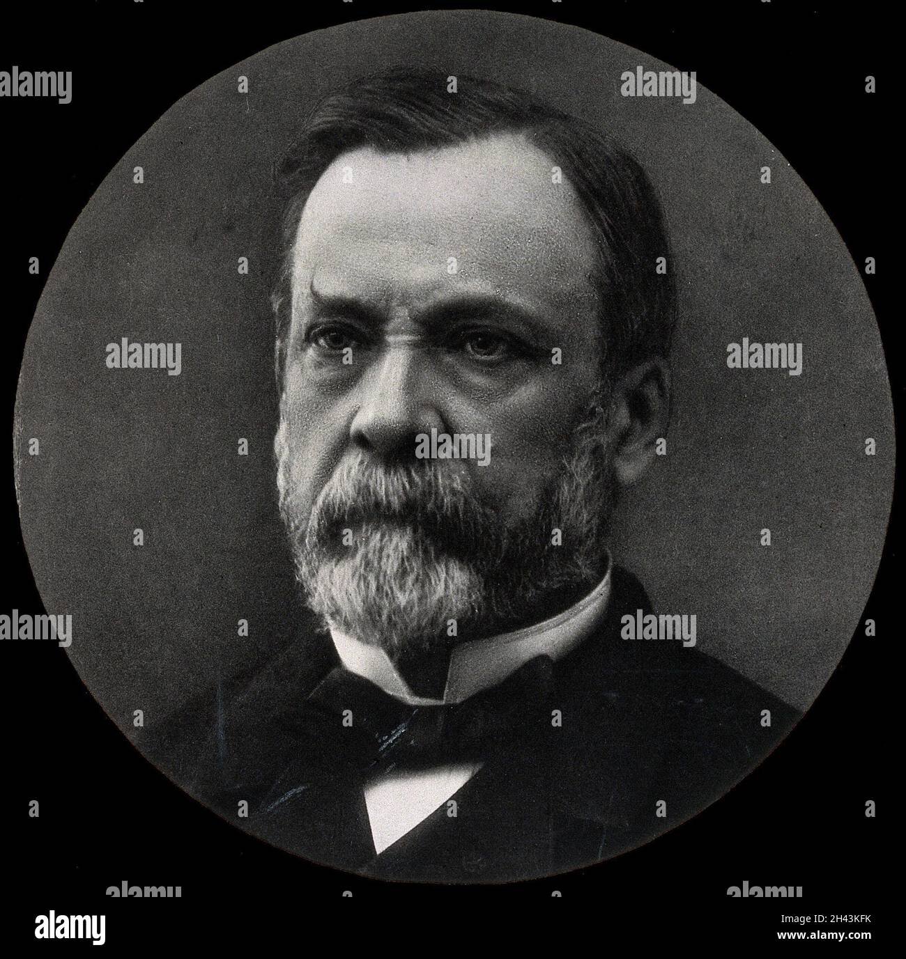 Louis pasteur hi-res stock photography and images - Alamy