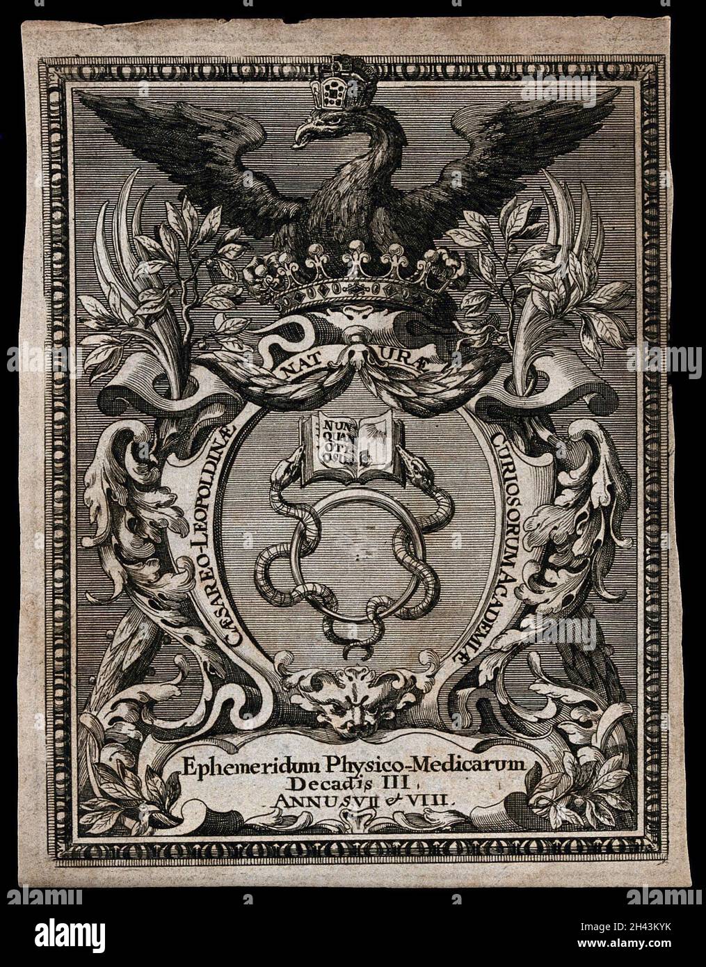 Eagle holding book hi-res stock photography and images - Alamy