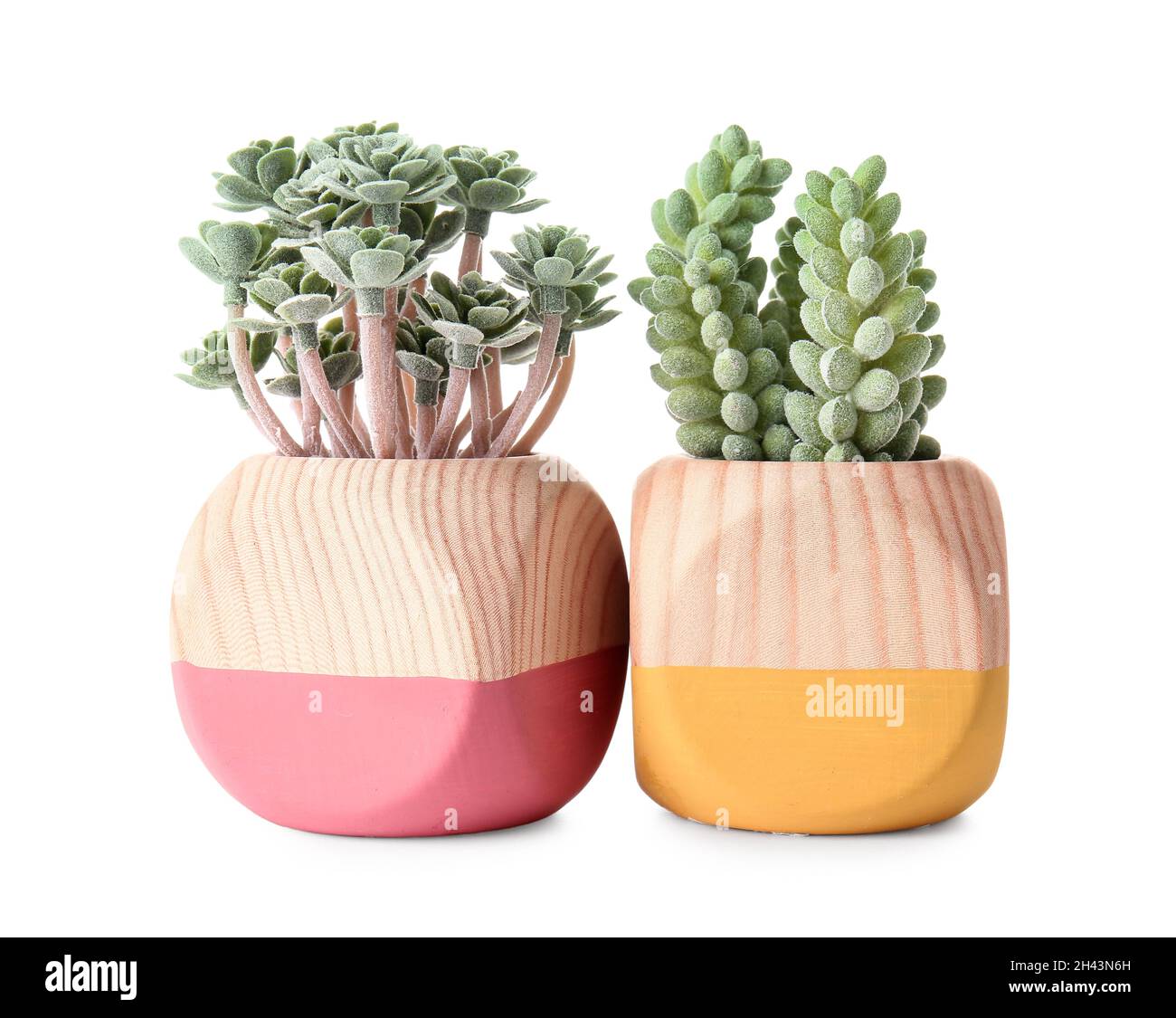 Stylish pots hi-res stock photography and images - Alamy