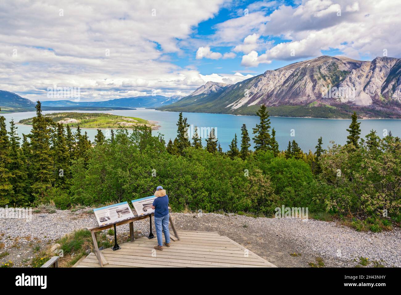 Canada, Yukon Territory, Carcross vicinity, Tagish Lake, Bove Island ...