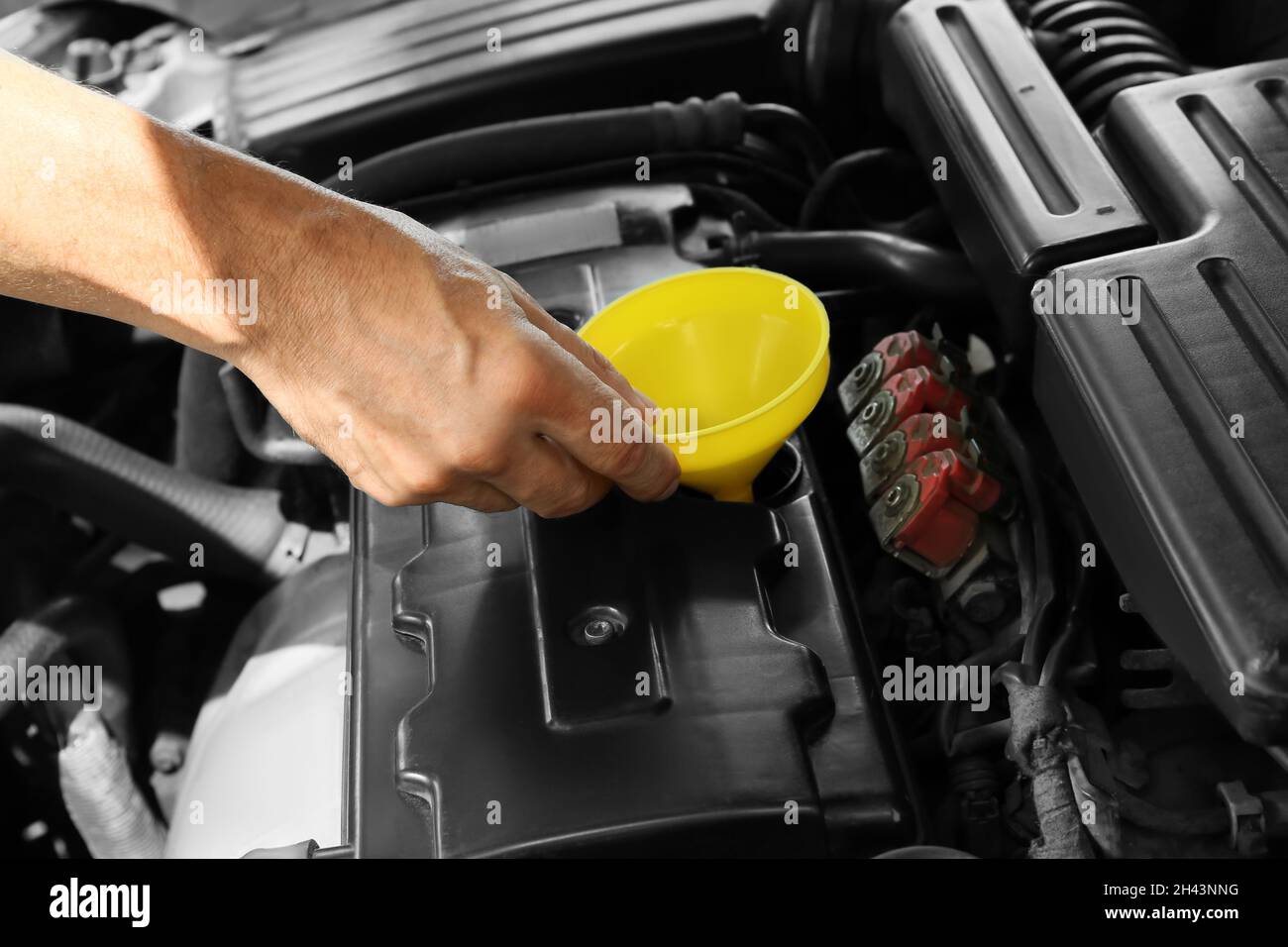 Male mechanic changing car engine oil Stock Photo - Alamy
