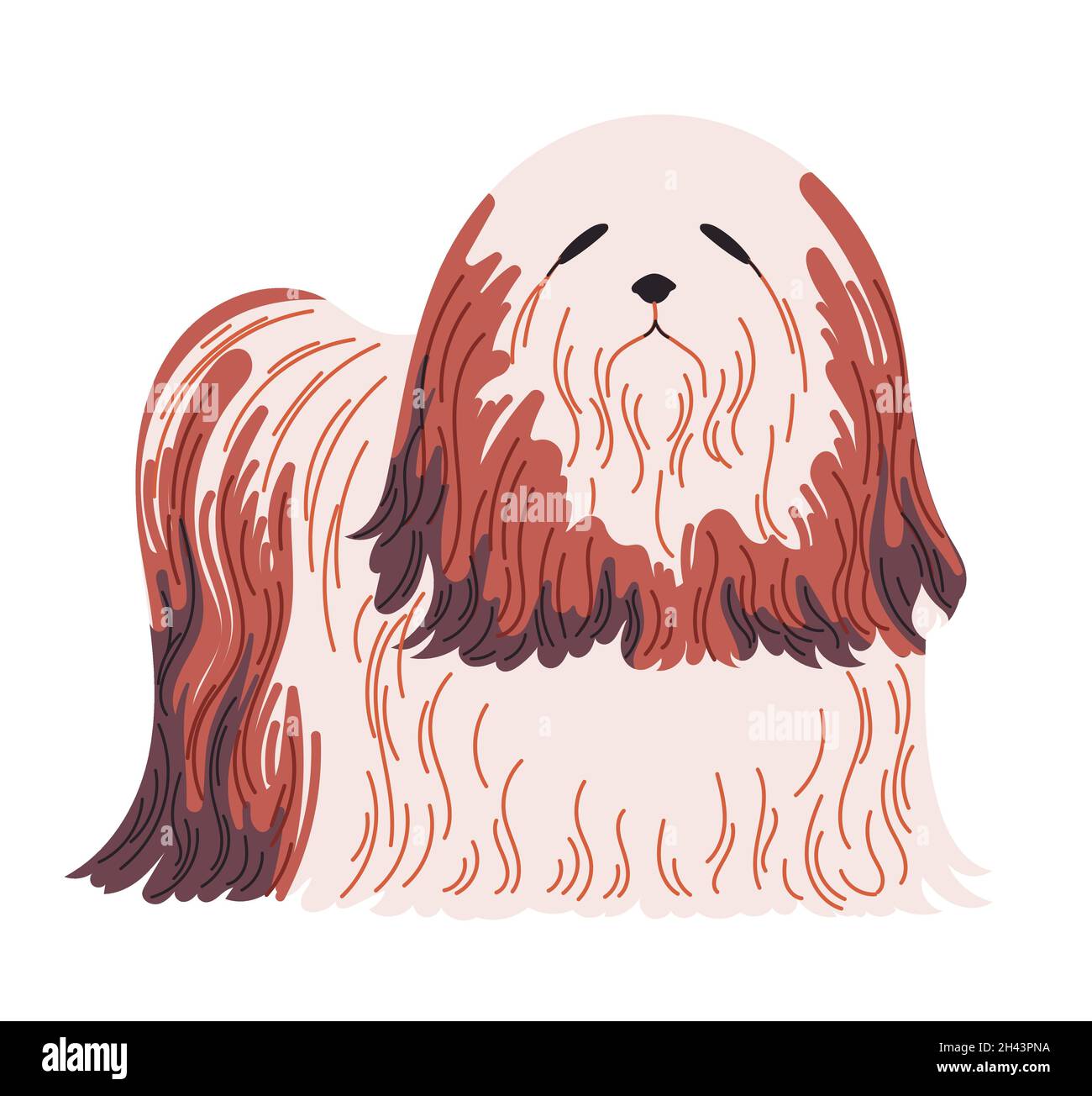 Pedigree Hairy dog breed Lhasa apso Vector Stock Vector Image & Art - Alamy