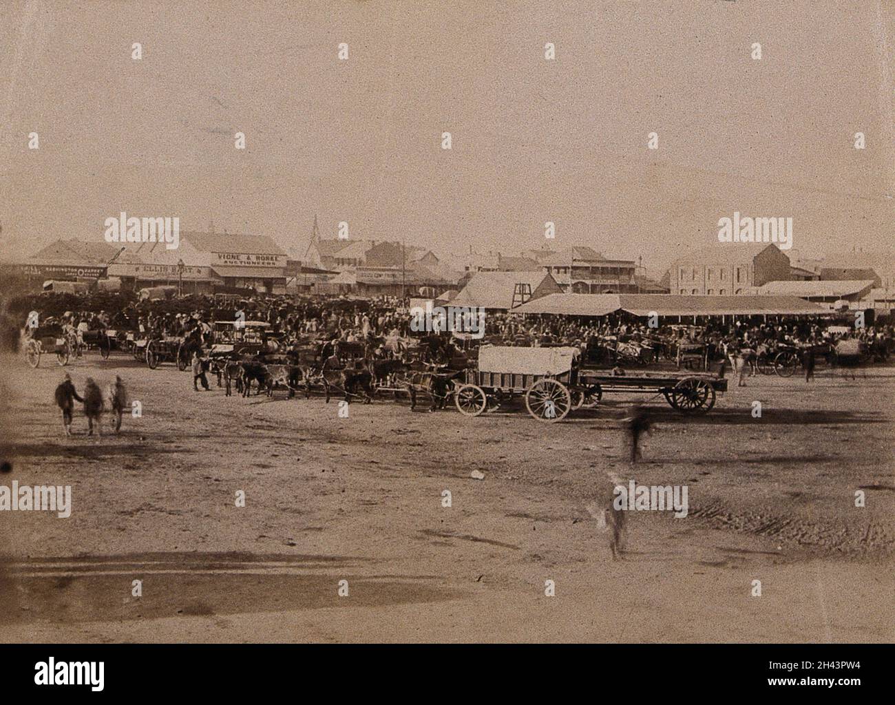 South Africa: the market place at Kimberley. 1896 Stock Photo - Alamy